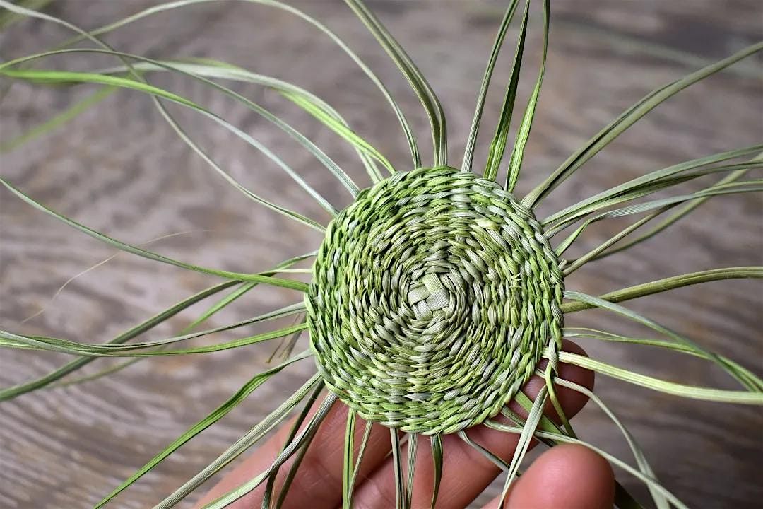 Wild Basketry - Invasive Plant Twined Basket (& Hand Broom) with Julia Han at Fibershed Learning ...