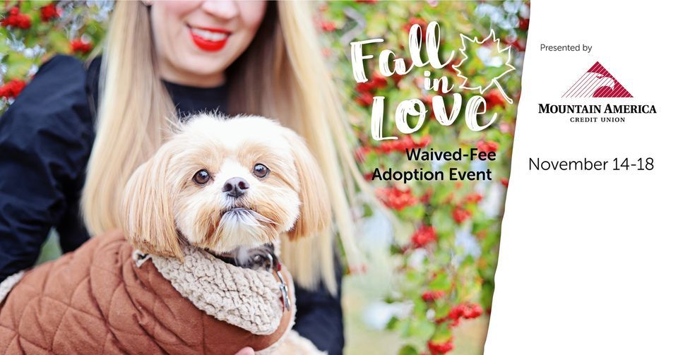 Fall in Love Adoption Special at Humane Society of Utah, Murray on 14th ...