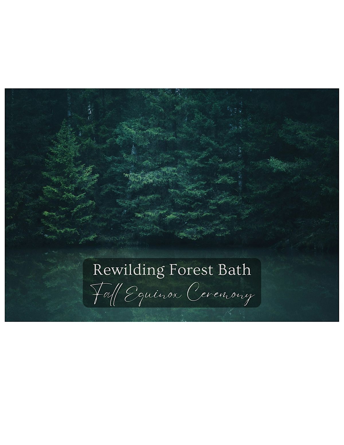 Rewilding Forest Bath: Fall Equinox Ceremony at Landis Woods Park & trails, Lancaster on 13th ...