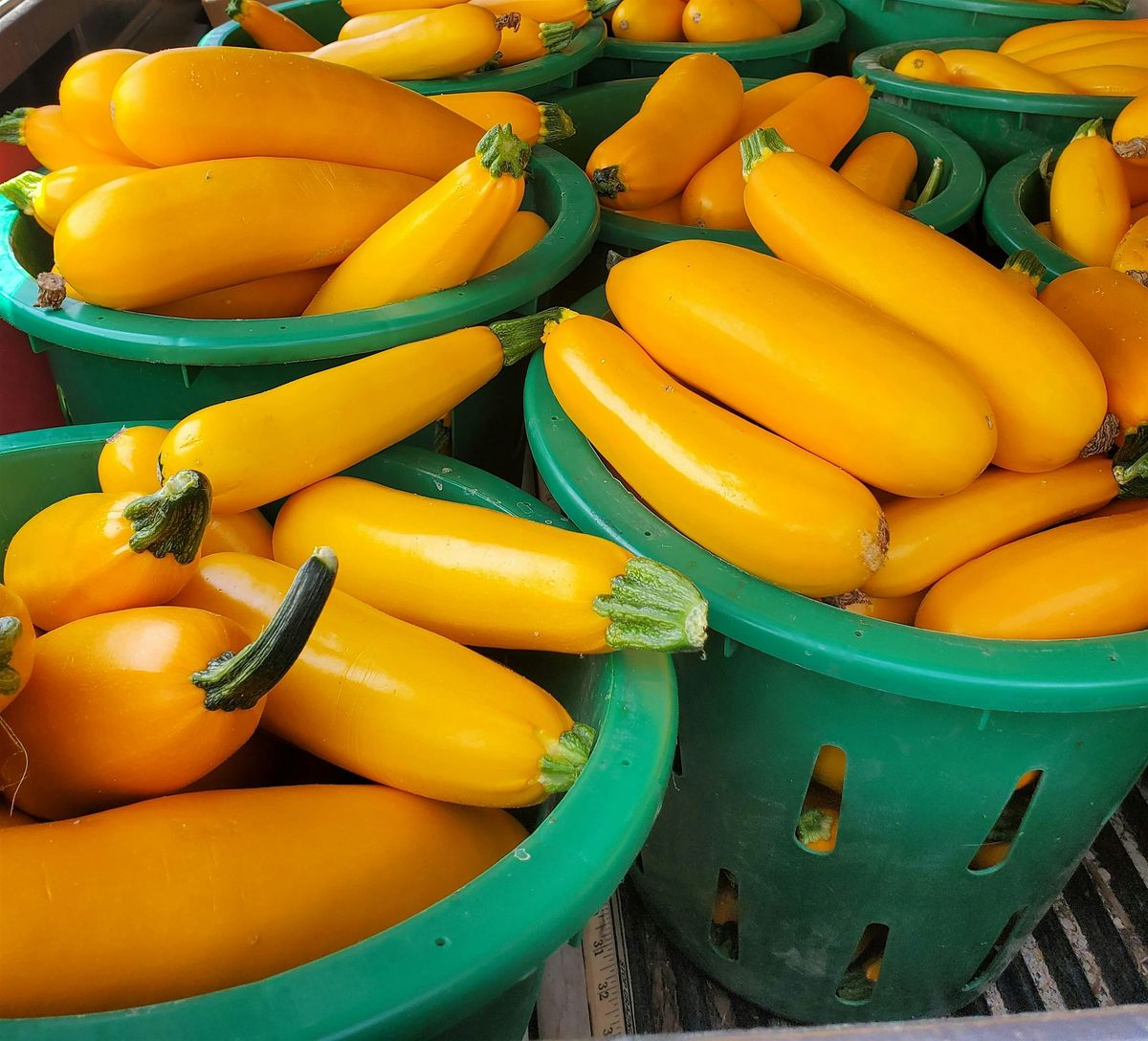 2026 Eastern Shore Vegetable Growers Meeting - Vender at 5464 Elks ...