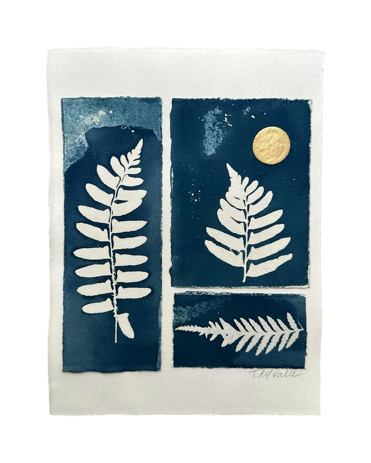 Cyanotype Art Show at Ment Beverage Co., Durham on 20th February, 2026