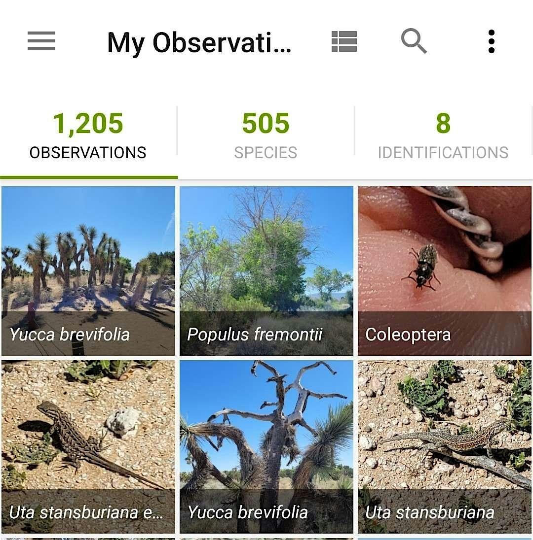 Guide to iNaturalist as a Tool for Nature at Lancaster Library on 16th ...