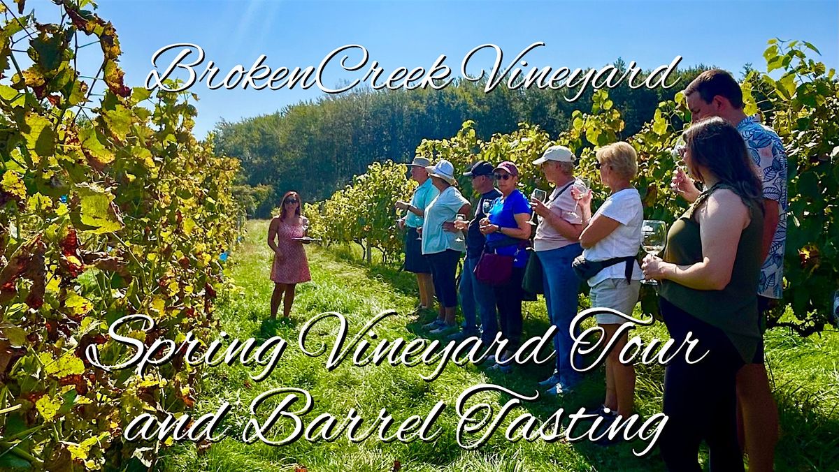 Spring Vineyard Tour and Barrel Tasting at Broken Creek Vineyard at ...