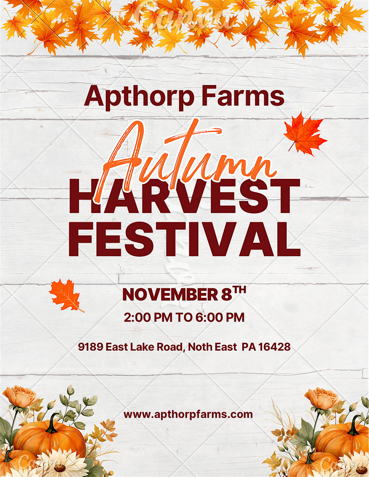 Fall Fest at 9189 E Lake Rd, North East on 8th November, 2025