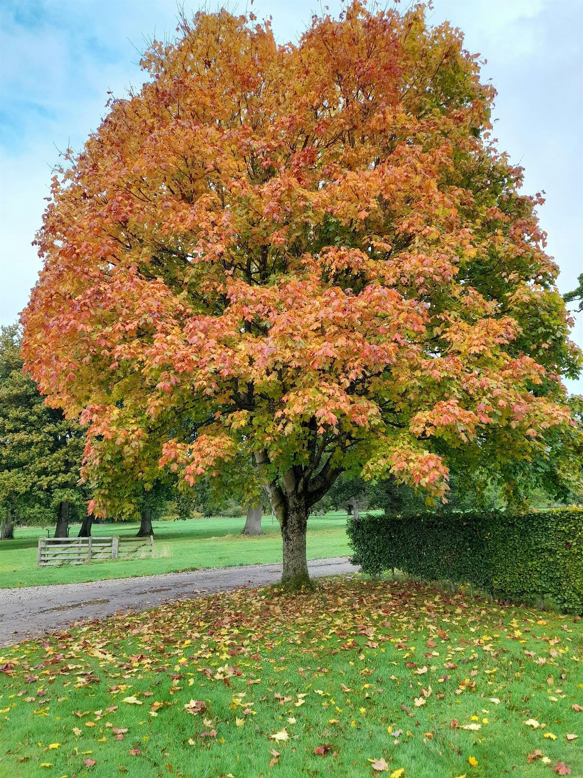 Autumn Equinox Workshop - Grounding, Gratitude and Balance at Monkton ...