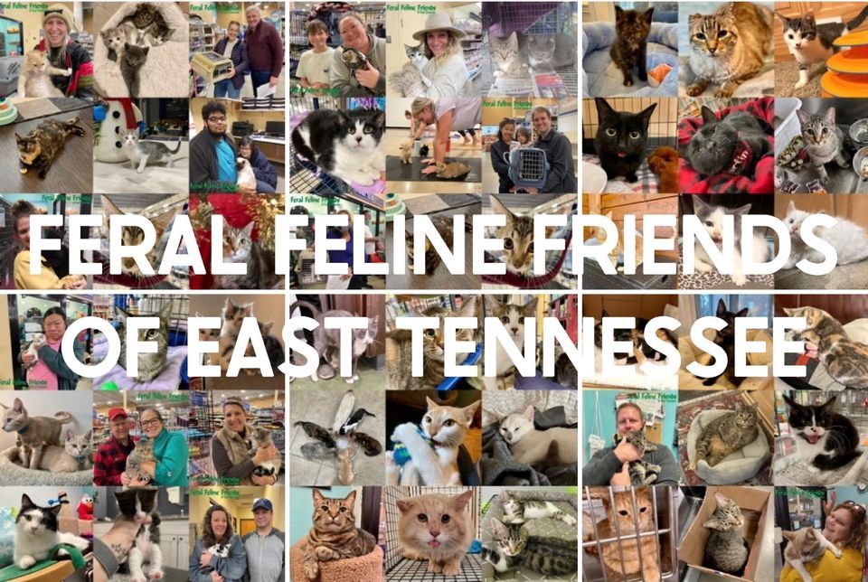 FFF Petsmart Adoption Event | 214 Morrell Rd, Knoxville, TN 37919-5876 ...