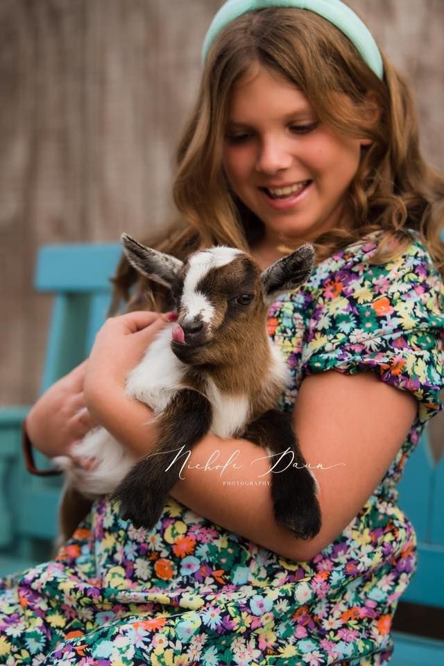 Spring Minis Portrait Session with Baby Goats | The Lazy H, Eustis, FL ...