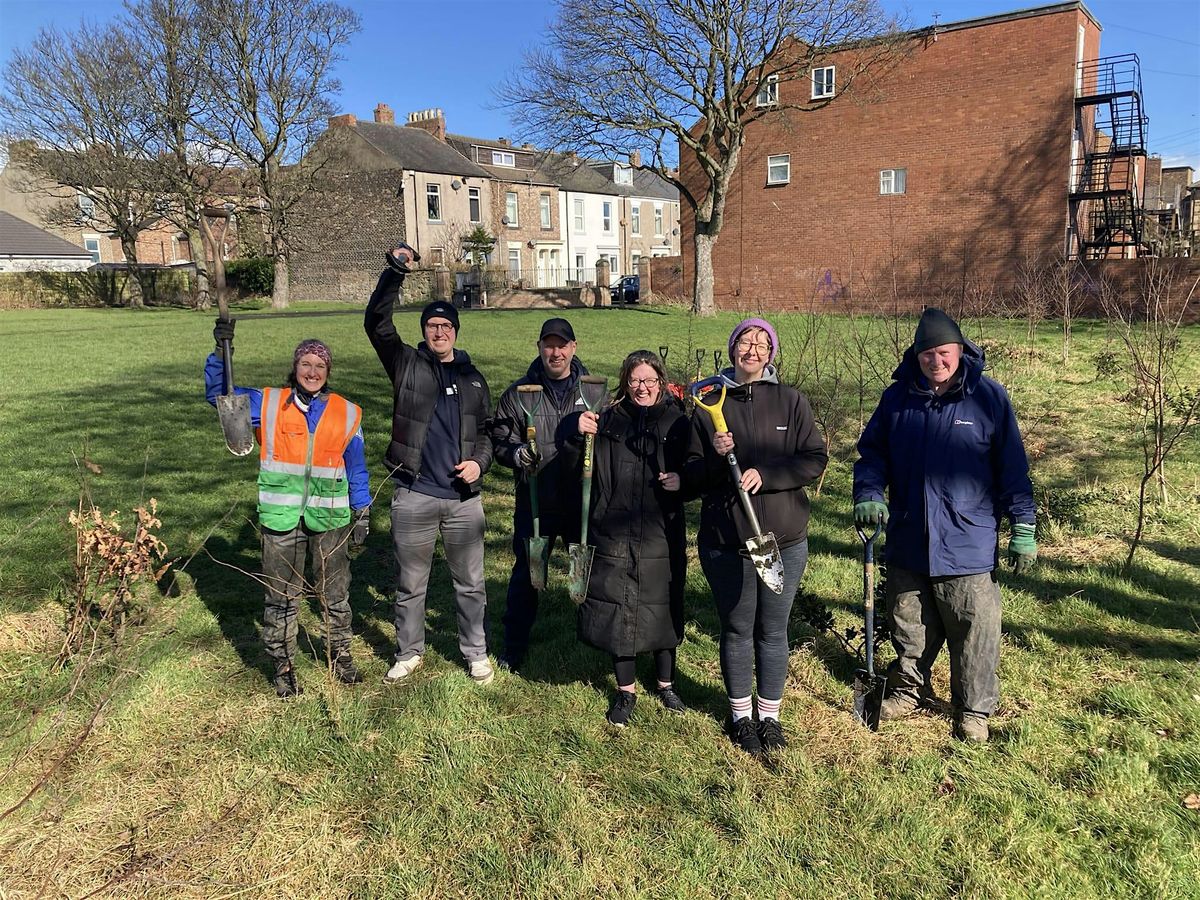 Tree Planting in South Shields for National Tree Week at Brockley ...