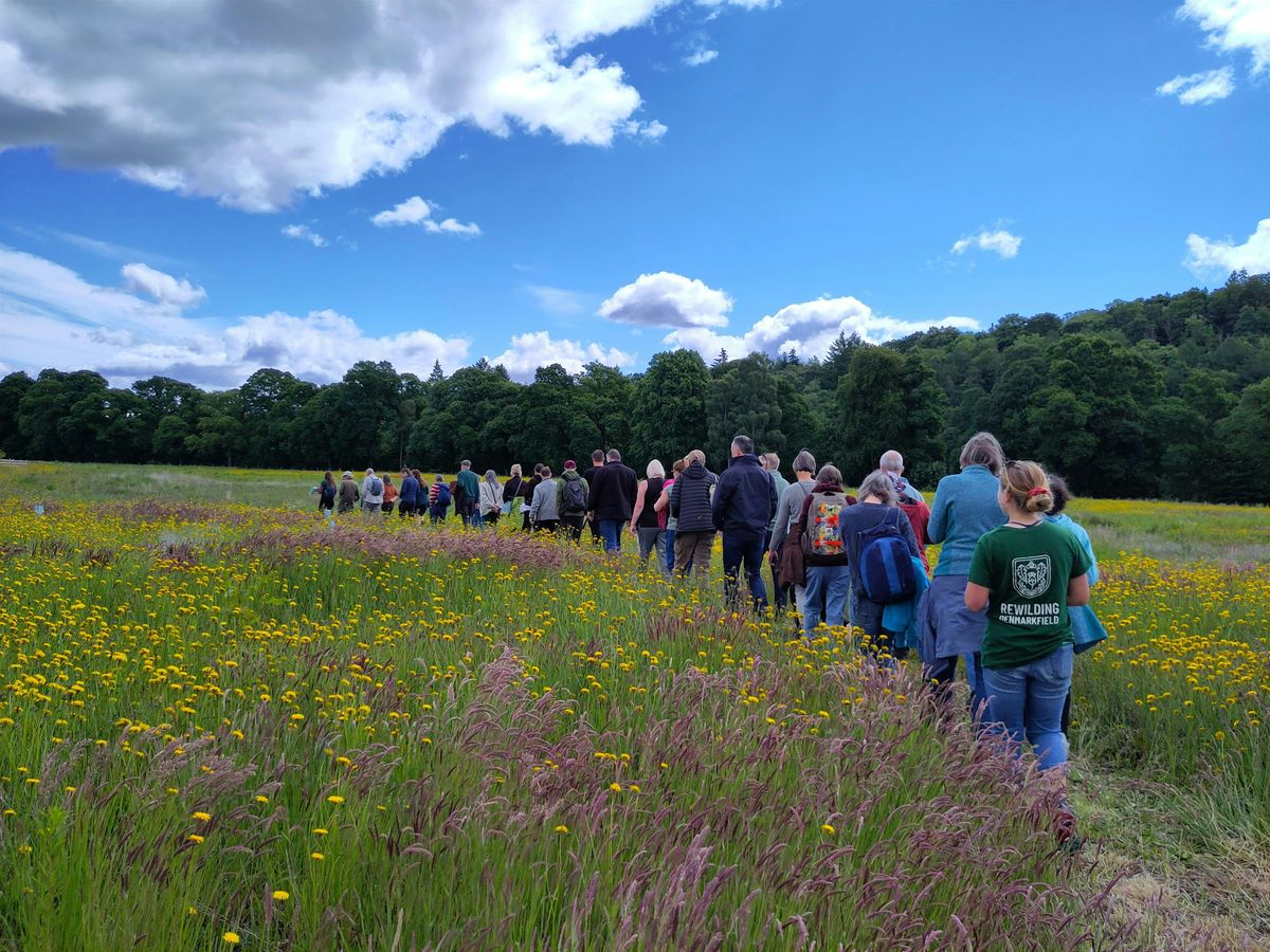 Rewilding Denmarkfield Open Day 2025! | Denmarkfield Allotments, Perth, SC | July 6, 2025
