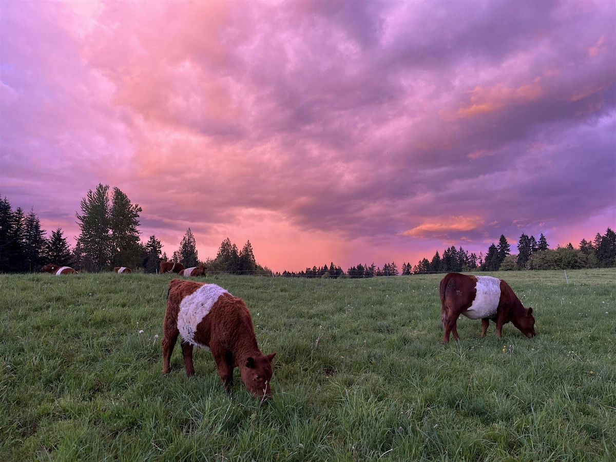 Meat & Greet: a hands-on visit with pasture-raised sheep and cattle at ...