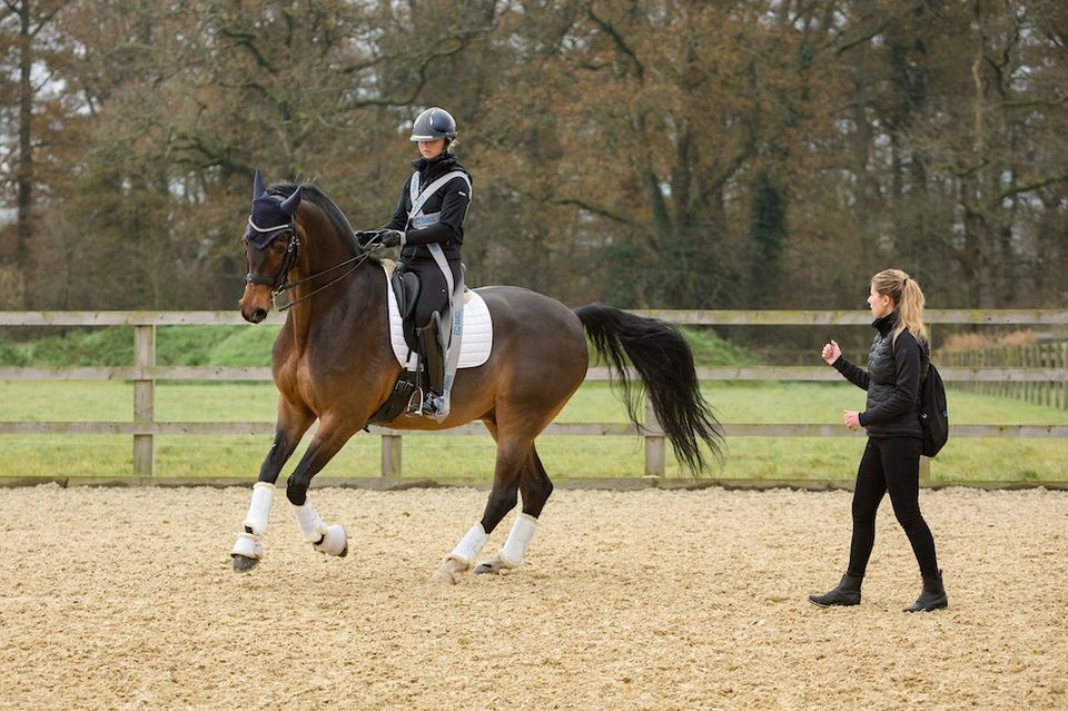 World Class Basics: Are you moving forward or being left behind? at NTU ...