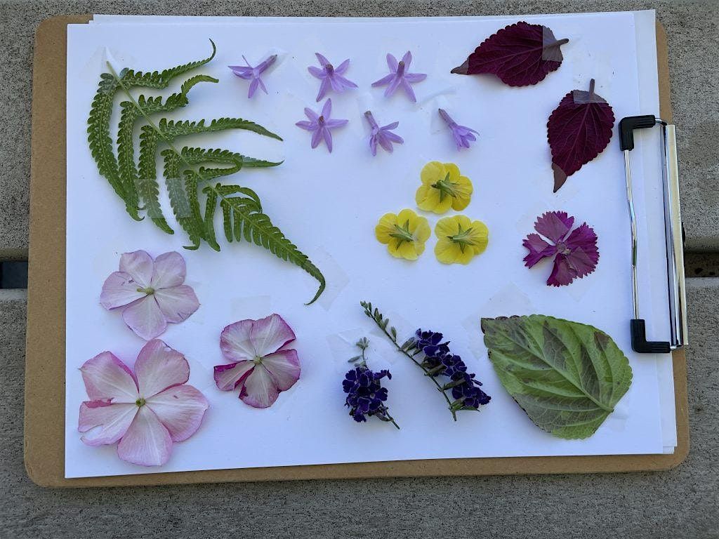 8-12-2025 Horticulture in Arts and Crafts | New River Library, Wesley ...