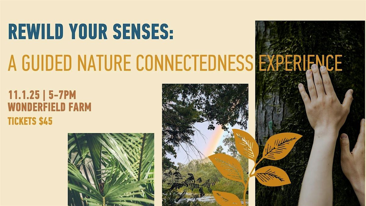 Rewild Your Senses: A Guided Nature Connectedness Experience at Wonderfield Farm & Retreat ...