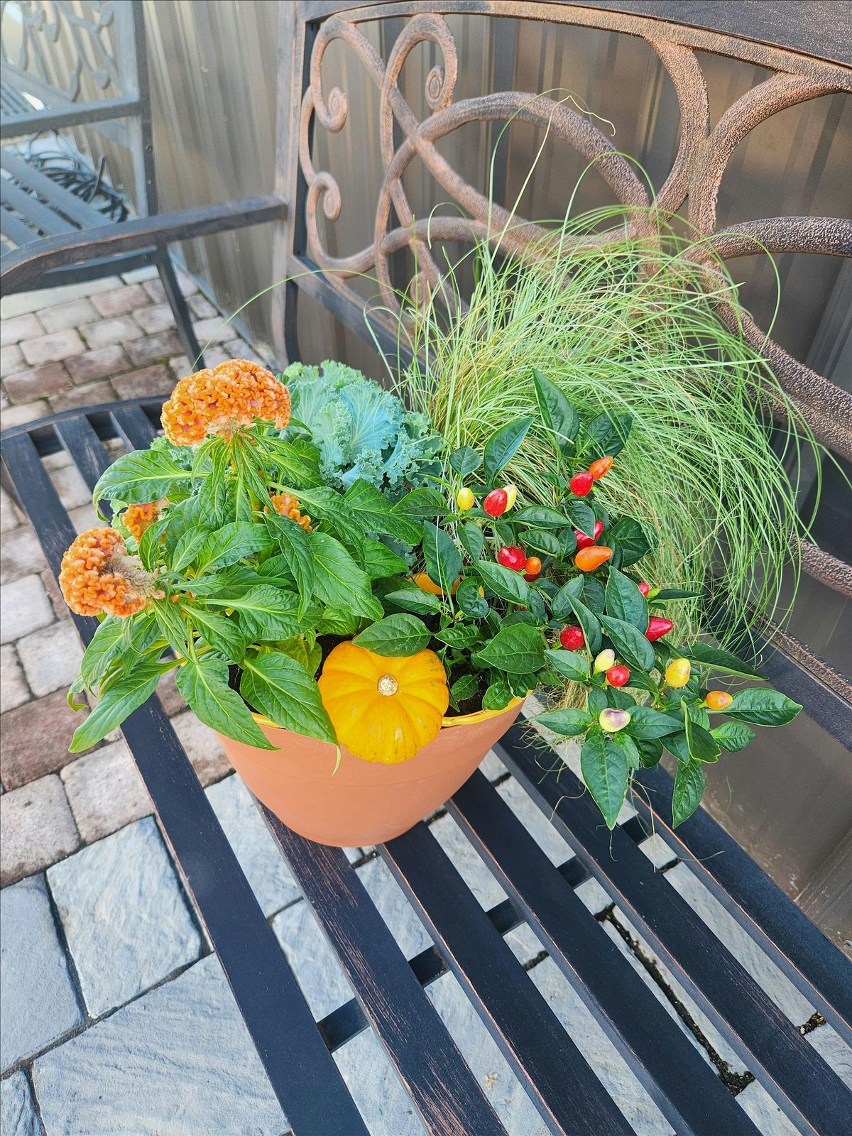 Fall Porch Pot at Snow's Landscape & Nursery, Newburgh on 8th October, 2025