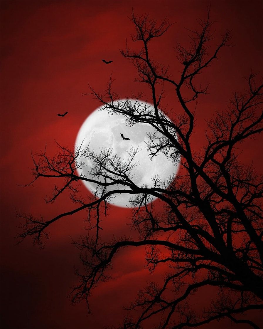 HALLOWEEN: MAROTO MAYFAIR at Maroto Club, London on 30th October, 2025