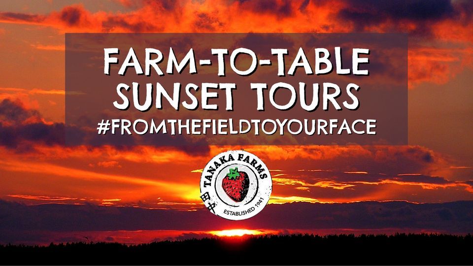 SUNSET WAGON TOURS & FARM-TO-TABLE COOKOUT at Tanaka Farms, Irvine on ...