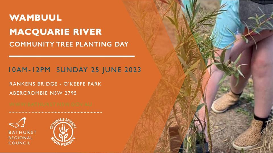 Community Tree Planting Day - Wambuul Macquarie River | Rankens Bridge ...