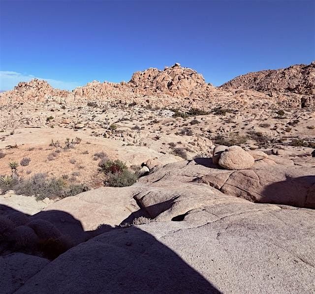 11/11 Sacred Healing Circle and Hike in Joshua Tree National Park at ...