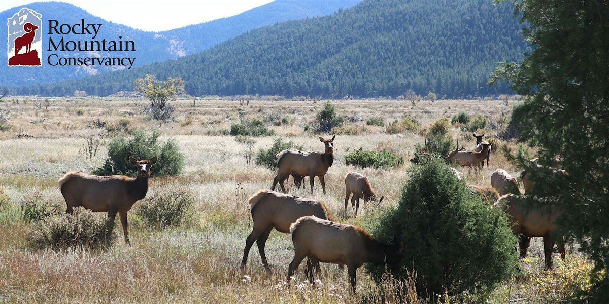 Fall Color Elk Tour in Rocky Mountain National Park at 3450 Fall River ...