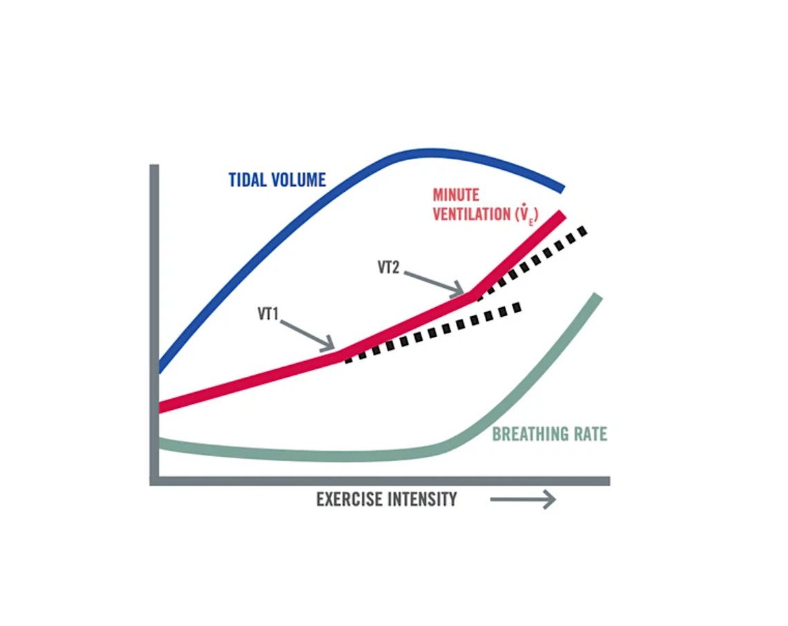 The Science of Breathing for Endurance Athletes at Prime Sports ...