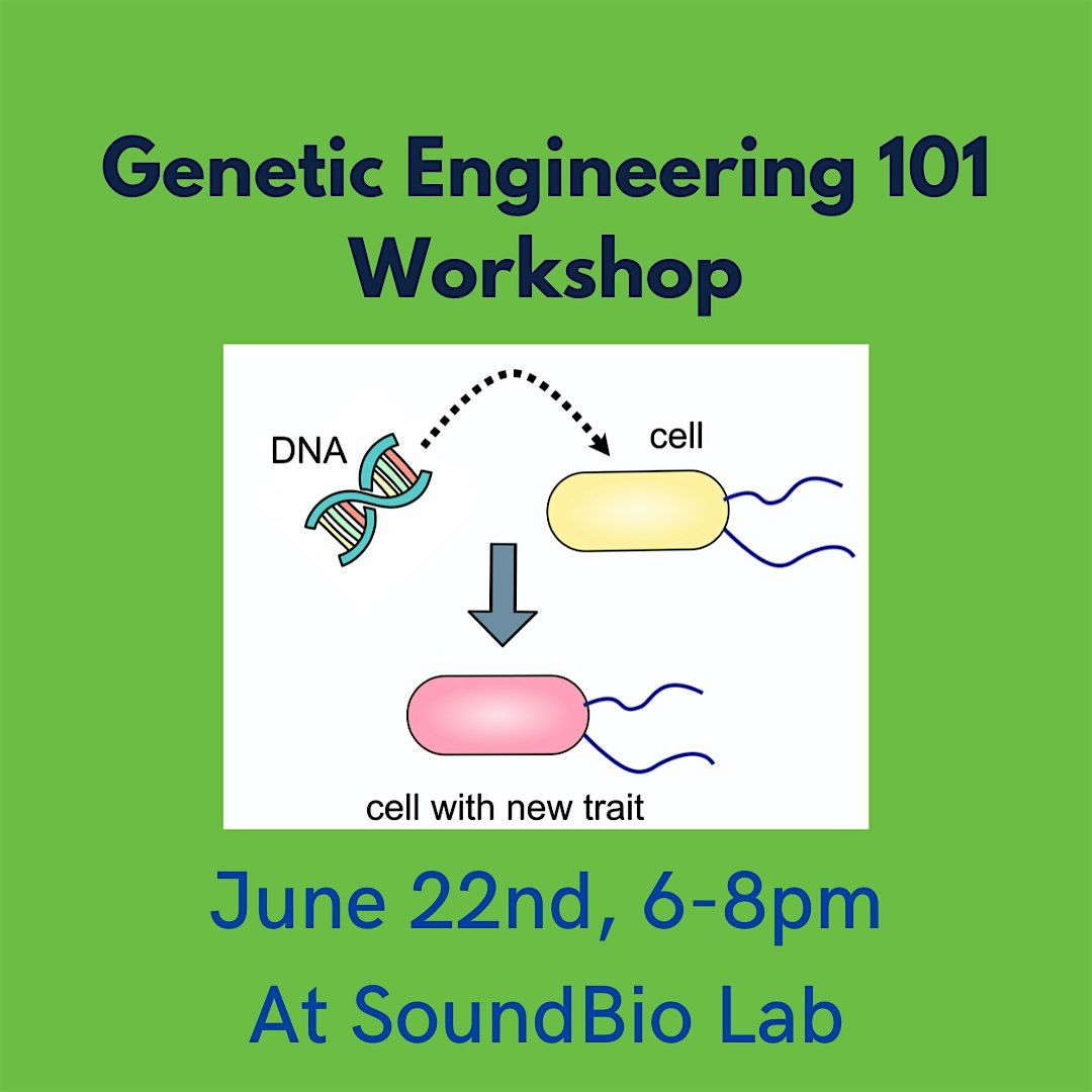Genetic engineering 101: Transforming Cells | SoundBio Lab, Seattle, WA | June 22, 2025