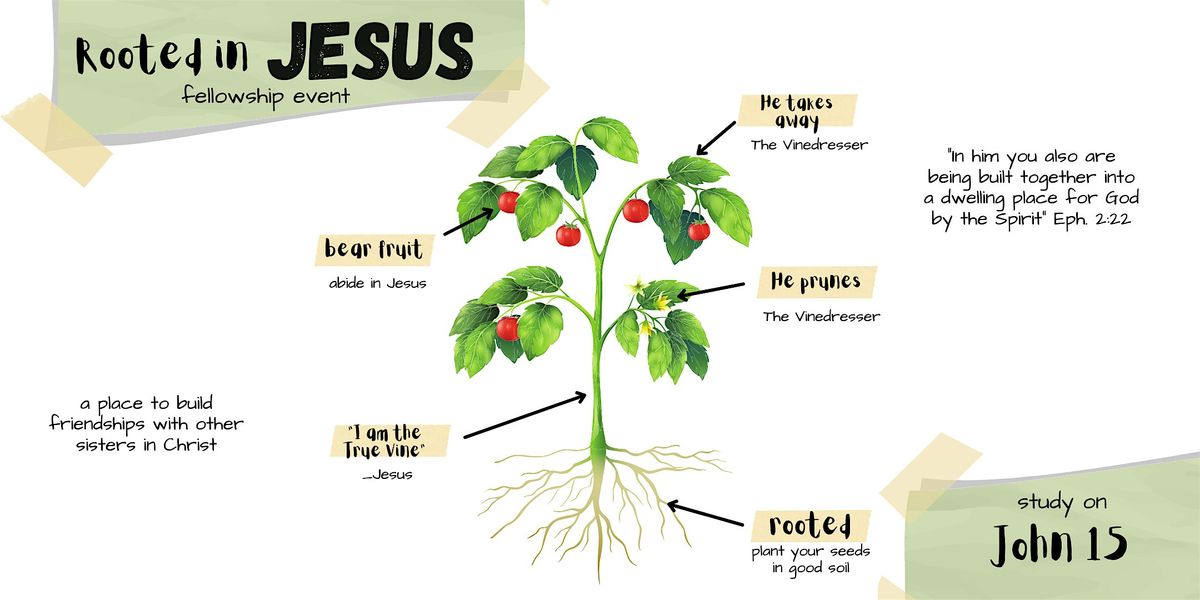 Rooted in Jesus | 2055 Three Springs Rd, Bowling Green, KY | May 17, 2025