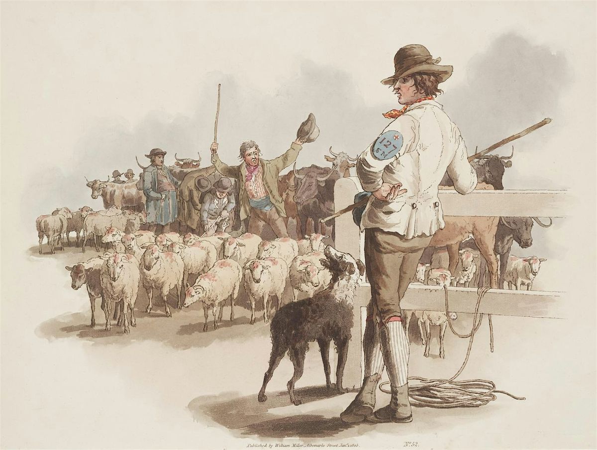 Heiptrw Hw! Following in the footsteps of the Welsh drovers at Y Gaer ...