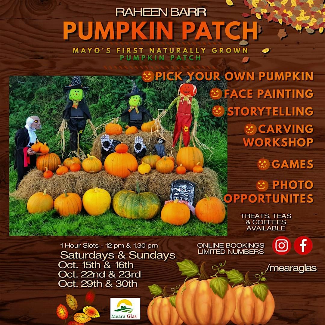 Raheen Barr Pumpkin Patch 2025 - 14 at Raheen Barr, Castlebar on 25th ...