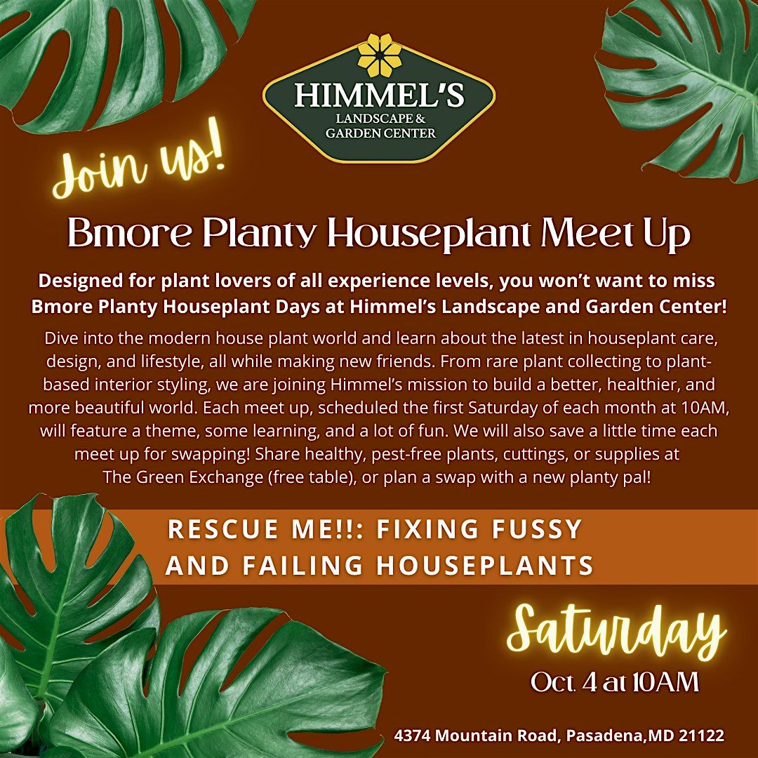 Bmore Planty Meetup: Fixing Fussy and Failing Houseplants | Himmel's ...