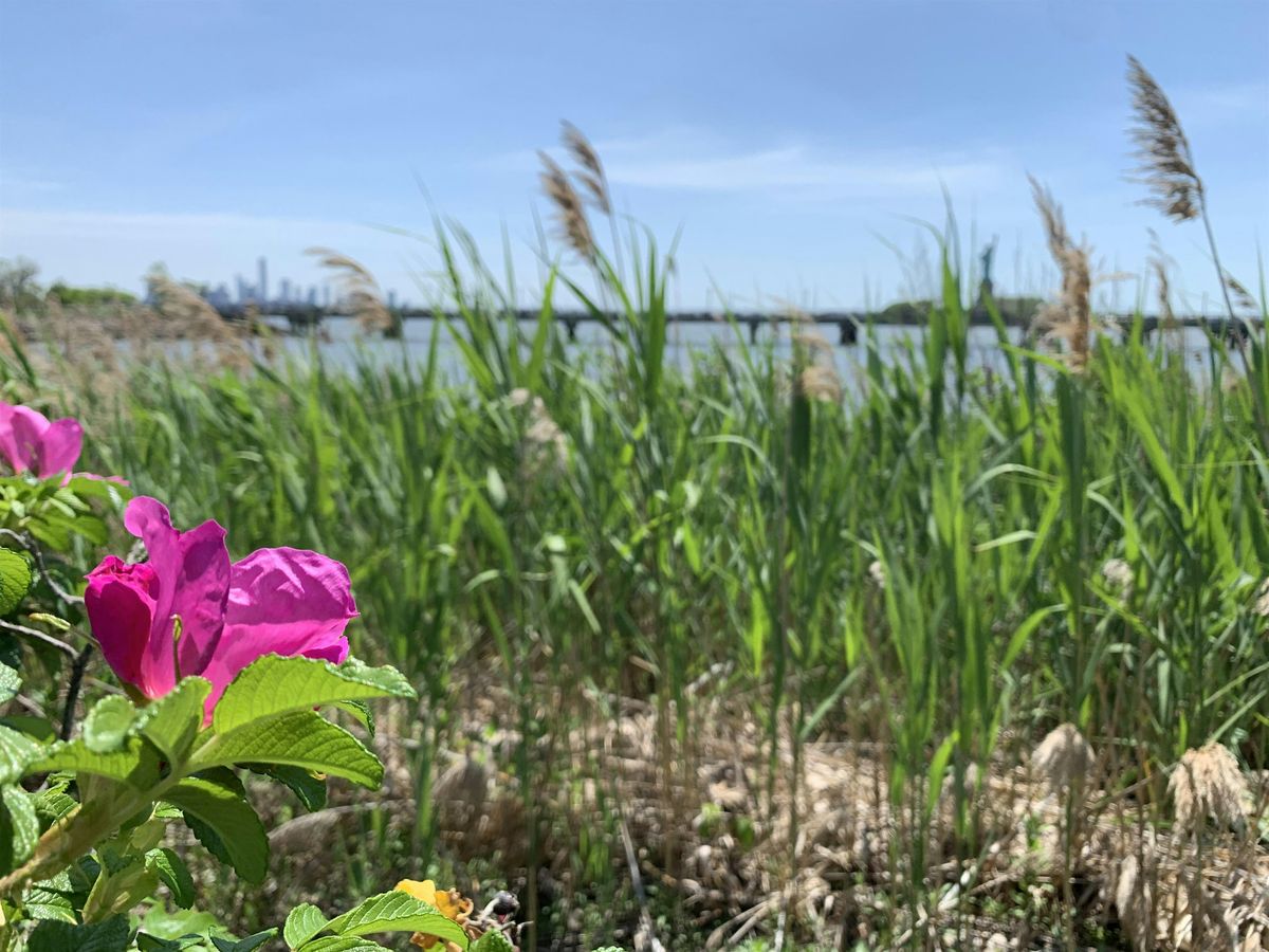 Torrey Botanical Society Annual Banquet and Lecture at Pier 57, New ...