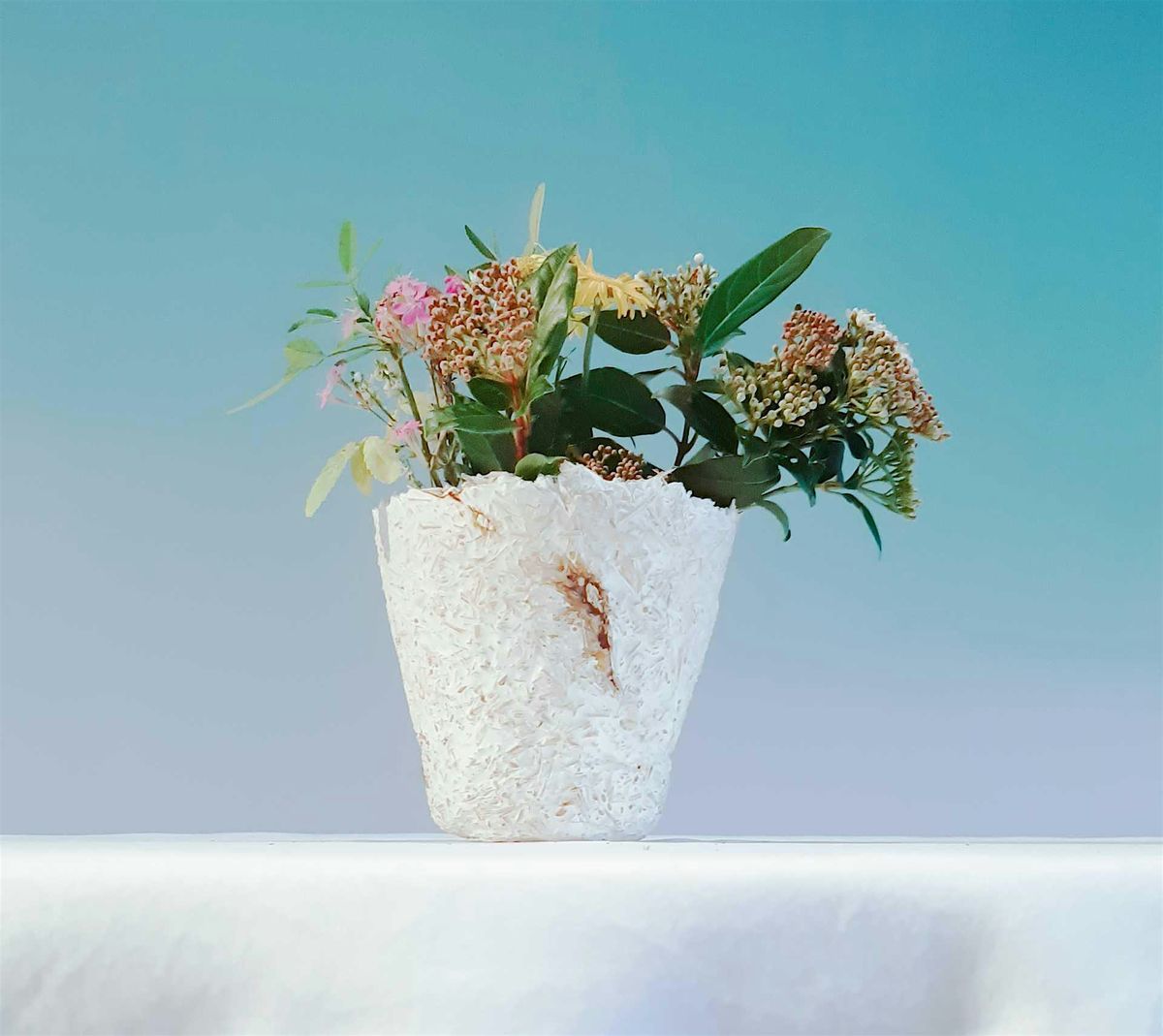 Myco Materials: Make Your Own Mycelium Flower Pot – A Hands-On Workshop ...