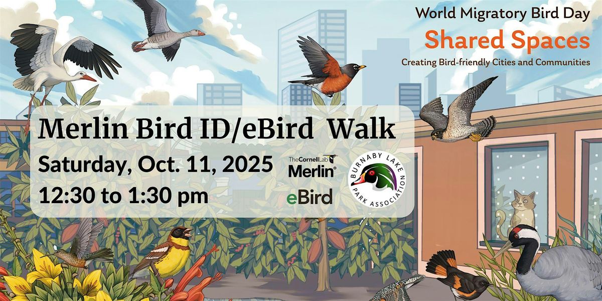 BLPA World Migratory Bird Day - Guided Walk using Merlin & eBird apps ...