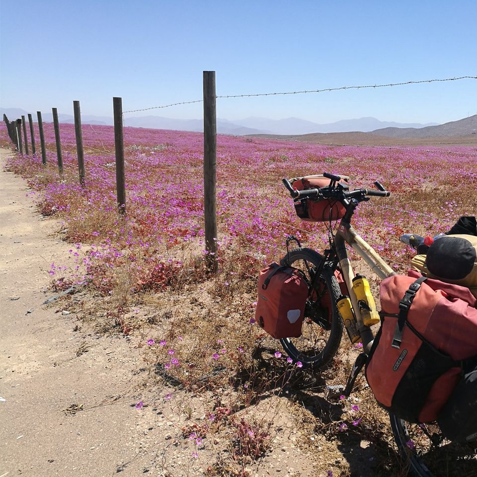 Kate Rawles - Adventure in the Andes: The Life Cycle Biodiversity Bike ...