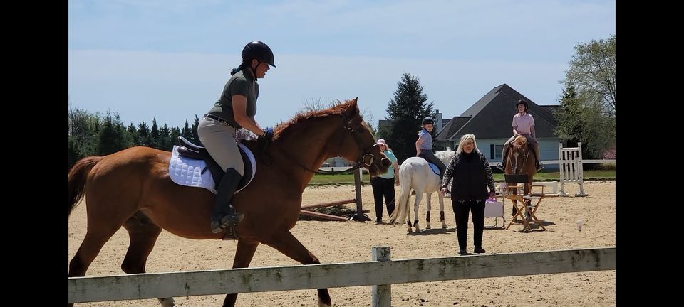 Bradley Caine Clinic | Origami Stables, Kenton, DE | March 16, 2024