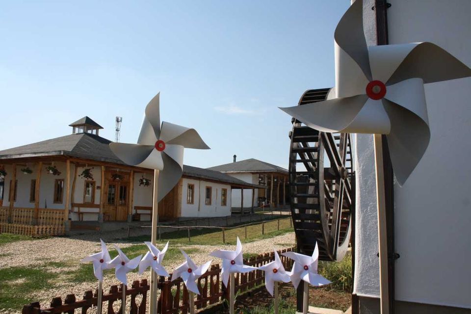 EXCURSIE ȘCOLARĂ PARCUL DE AVENTURA COMANA - MOARA DE HARTIE | Teo ...