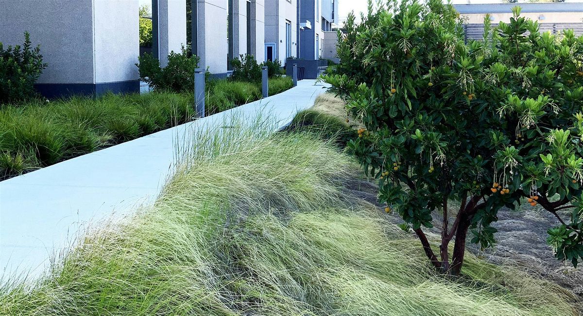 SGLA LARE Prep - Grading, Drainage, & Stormwater Mgmt Feb 7, 8, 9, 2025 ...