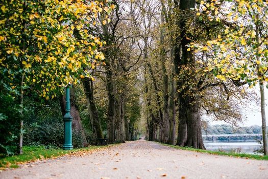 Avenham Park Health Walk at Avenham & Miller Parks, Preston on 7th ...