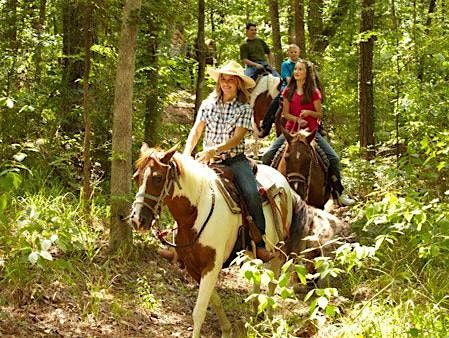 Singles Fall Horseback Riding in Connetquot Park Ages 50s 60s 70s ...