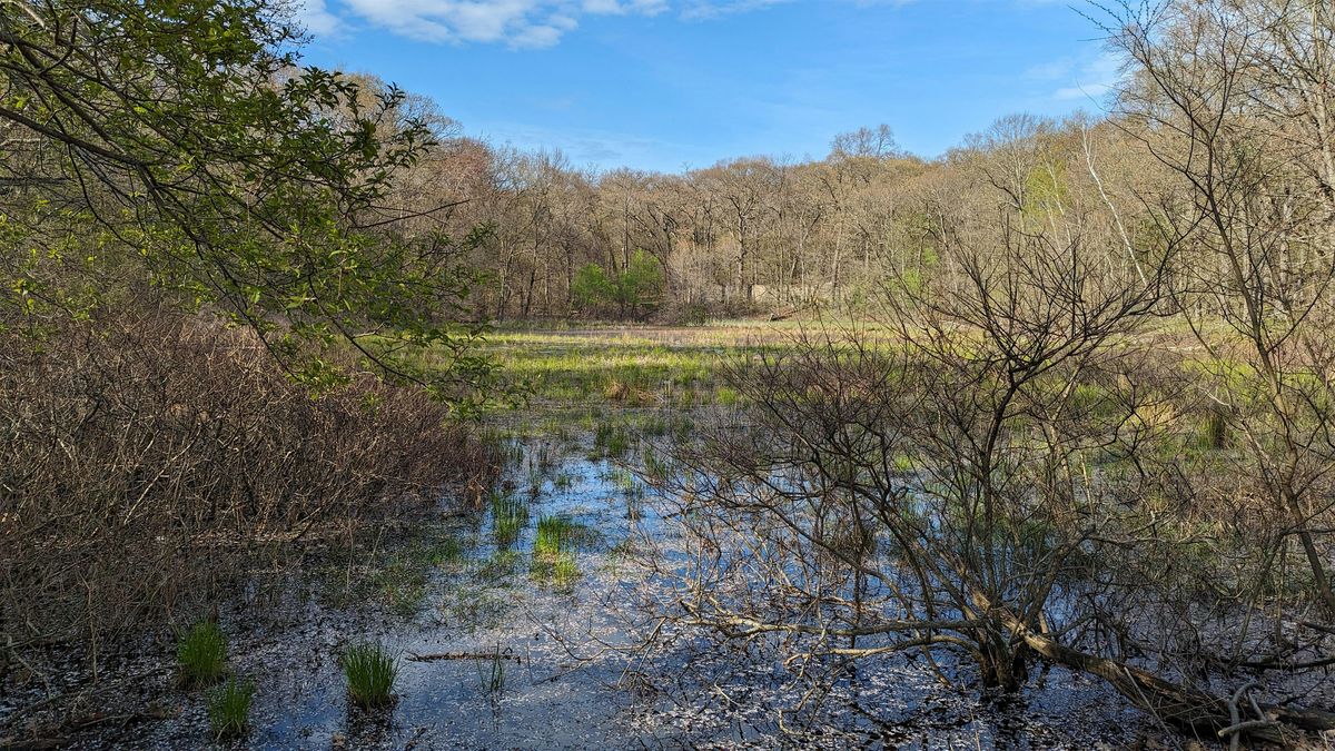 Map Invasive Plants at Bellevue Pond with Friends of the Fells ...