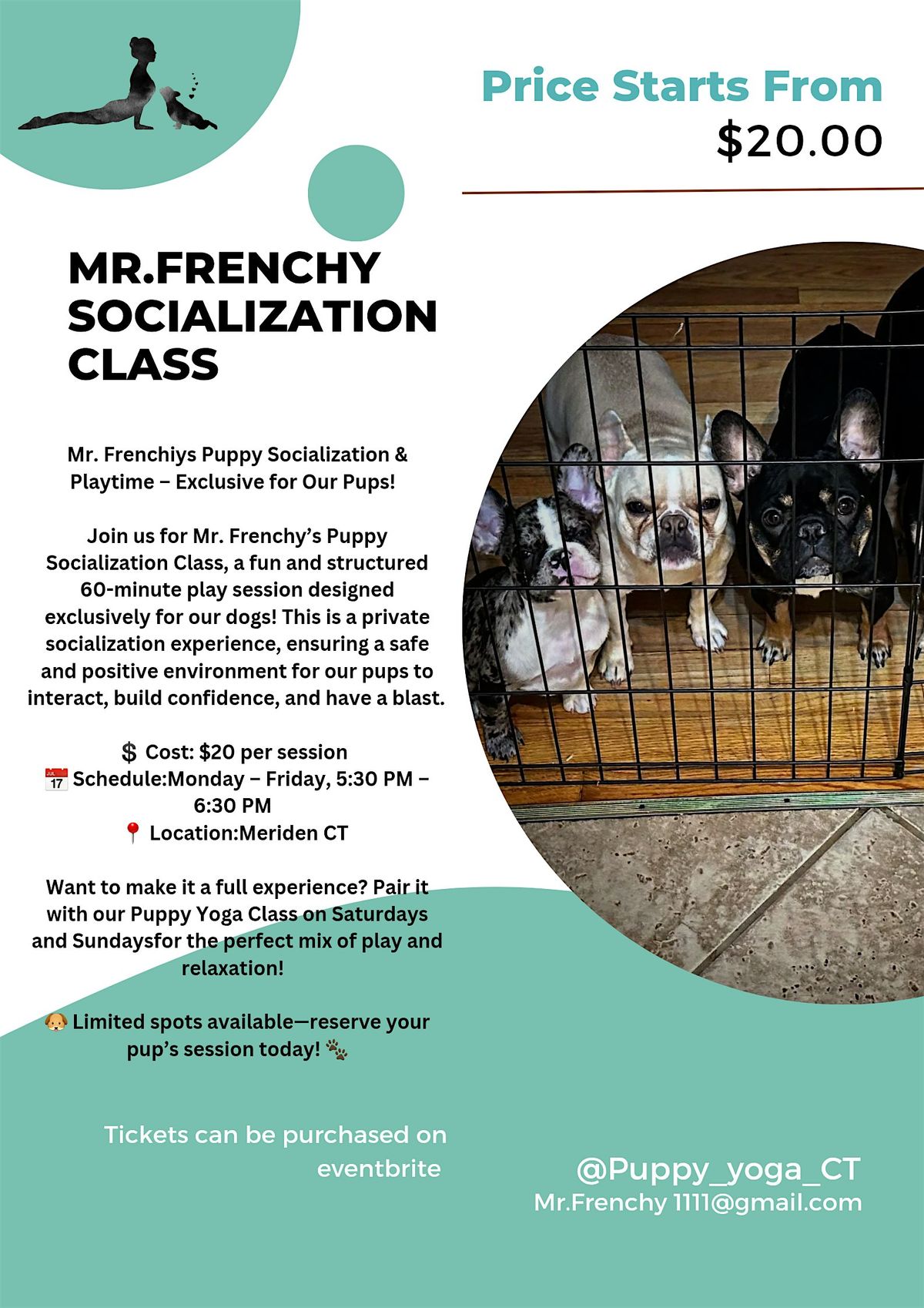 Puppy Socialization Class | 306 E Main St, Meriden, CT | April 6 to May 25