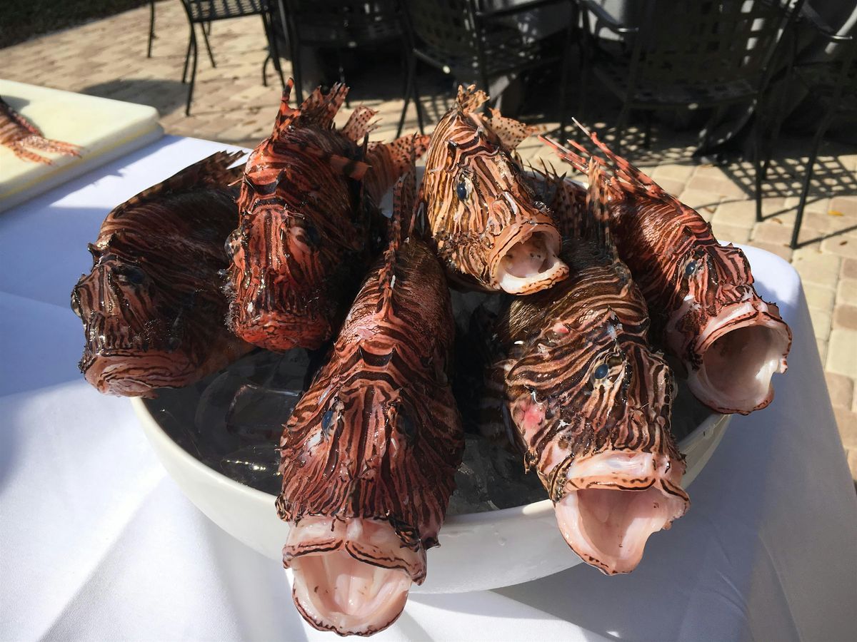 2025 Emerald Coast Open Lionfish Festival Volunteers | AJ’s Seafood ...
