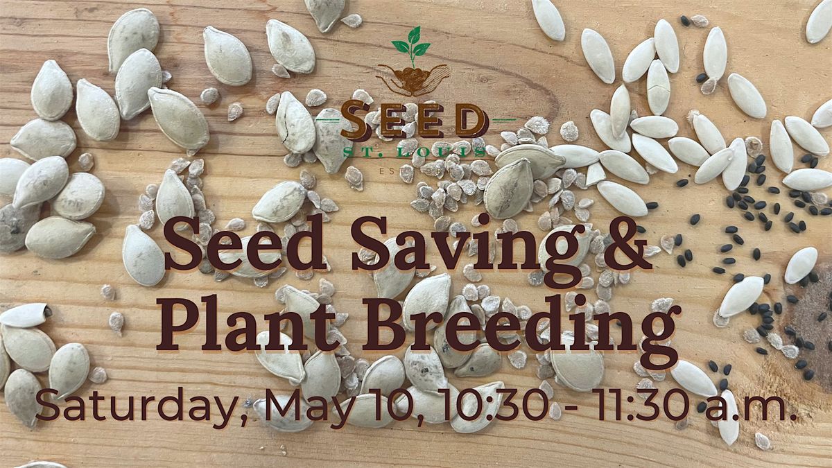 Seed Saving and Plant Breeding 101 | Bell Community Garden, St. Louis ...