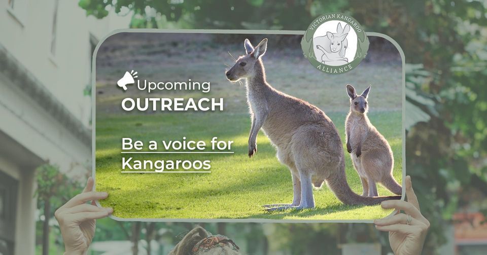 MONTHLY KANGAROO OUTREACH at Bourke Street Mall, Melbourne on 14th ...