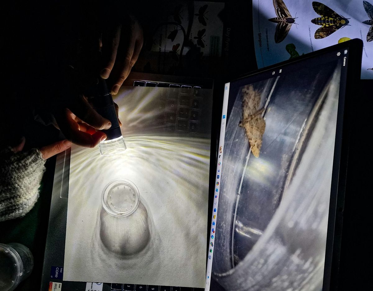 Myths, Moths, & Moonlight at Winton Recreation Ground at Winton ...