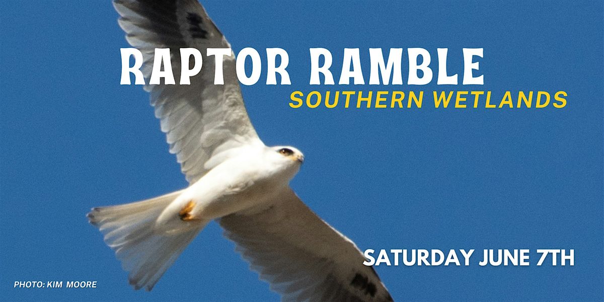 Los Cerritos Wetlands Nature Walk : Raptor Ramble | Los Cerritos ...
