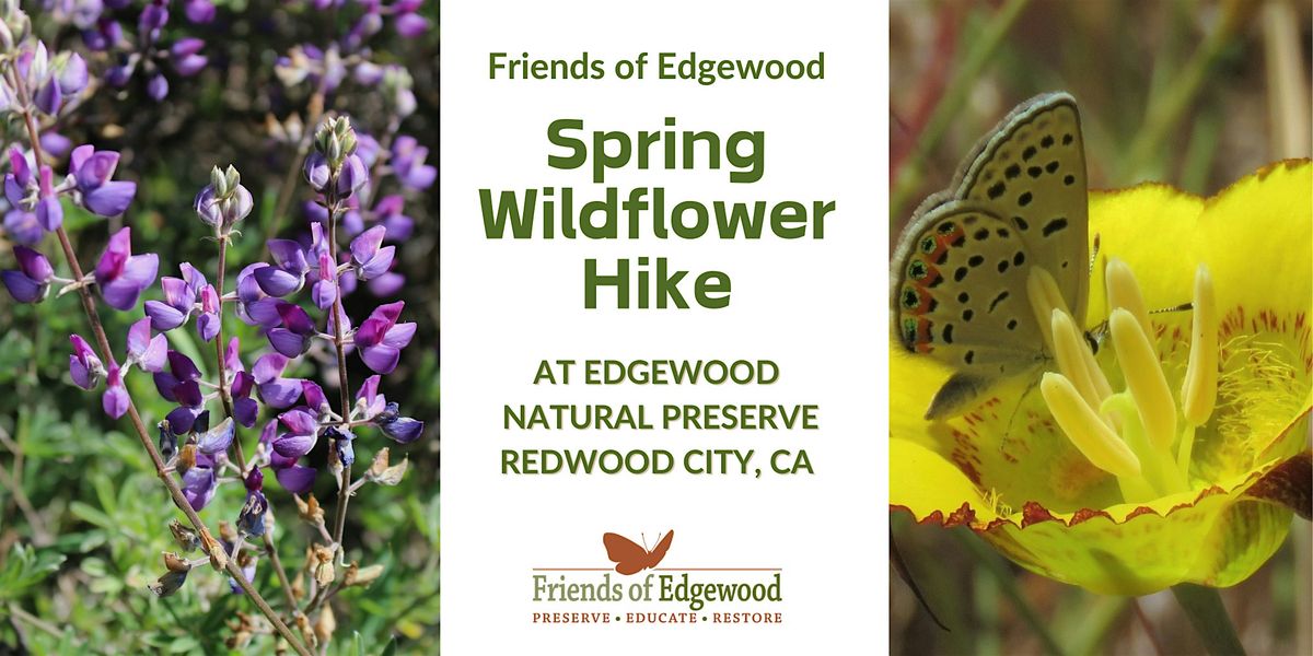 Free Spring Wildflower Hike at Edgewood Park and Natural Preserve at ...