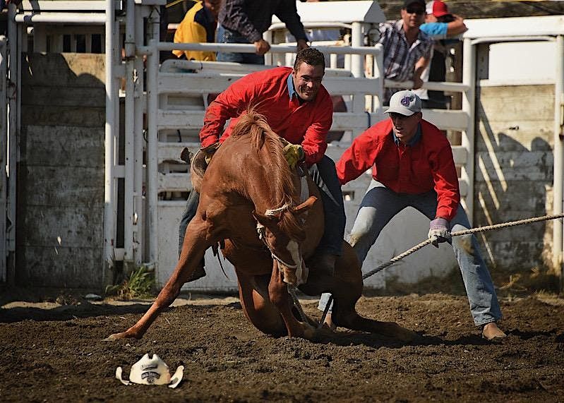 2025 Calgary First Responders Rodeo at Cochrane Lion's Rodeo Grounds on ...