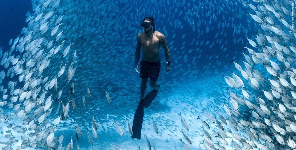 BARI - Ocean Film Festival Italia | AncheCinema, Bari, PU | November 28 ...