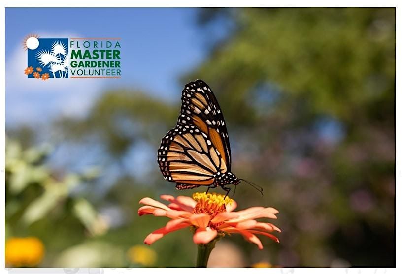 Florida-Friendly Butterfly Gardening at UF-IFAS Broward County ...