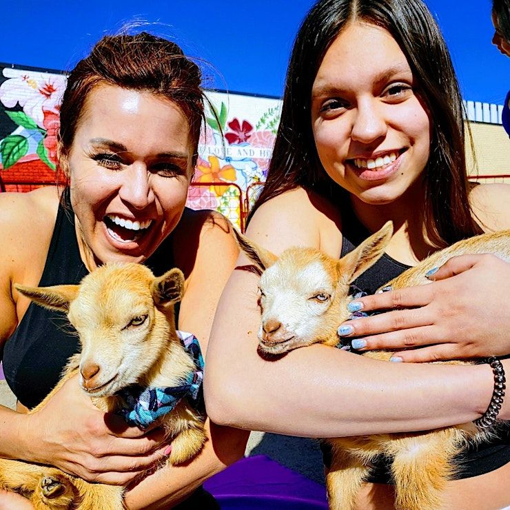Goat Yoga McKinney @ Tupps! at TUPPS Brewery, McKinney on 6th June, 2026